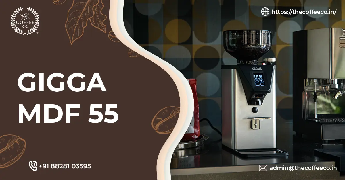 Buy Gaggia MDF 55 online - The Coffee Co